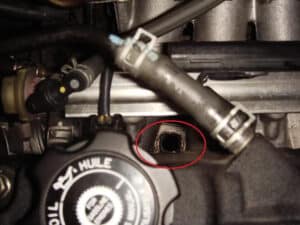 Honda’s Iconic B16 Engine: Horsepower, Specs & Swap Info | Low Offset