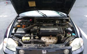 Honda’s Iconic B16 Engine: Horsepower, Specs & Swap Info | Low Offset
